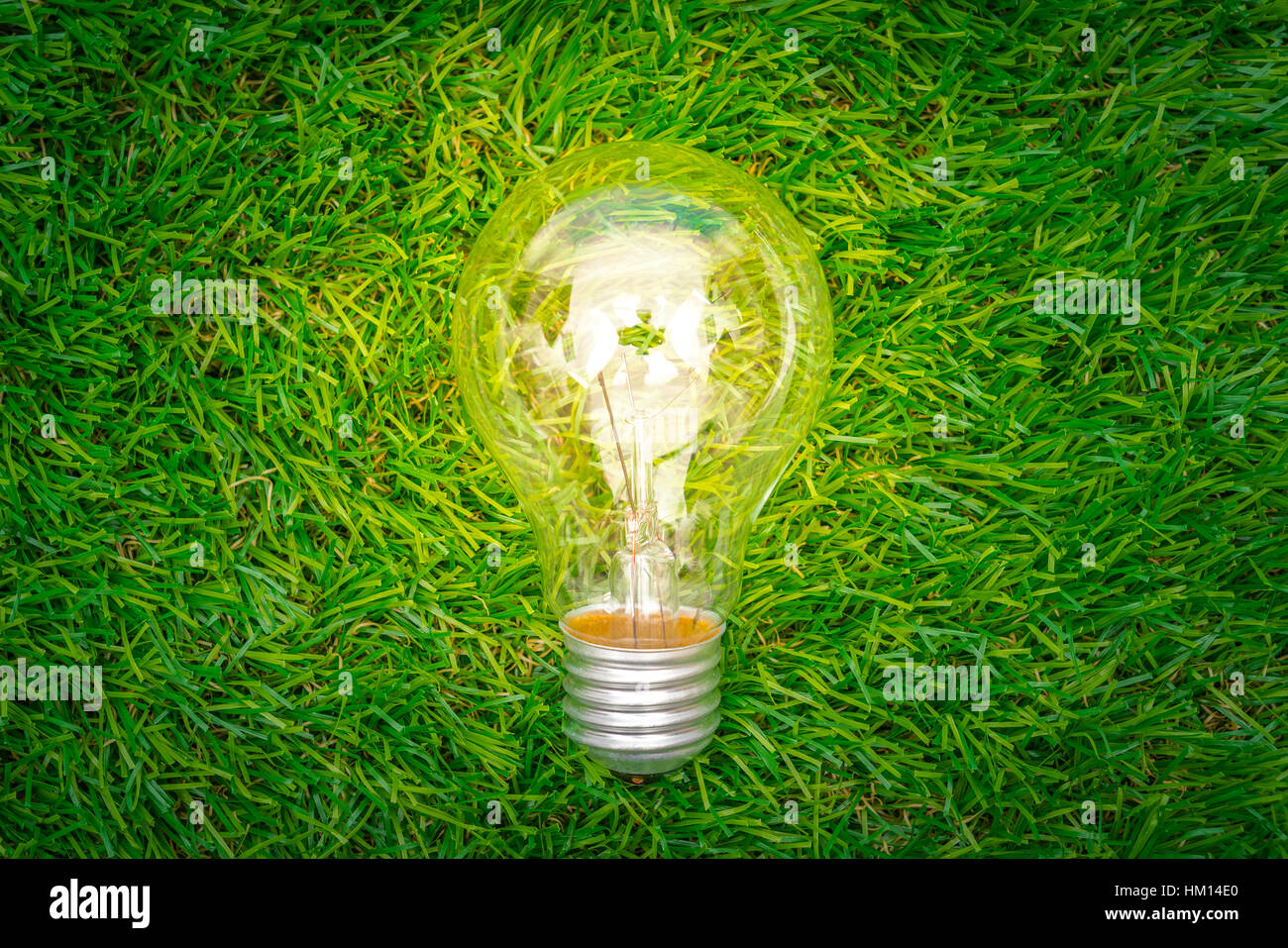 Eco concept - light bulb grow in the grass Stock Photo - Alamy