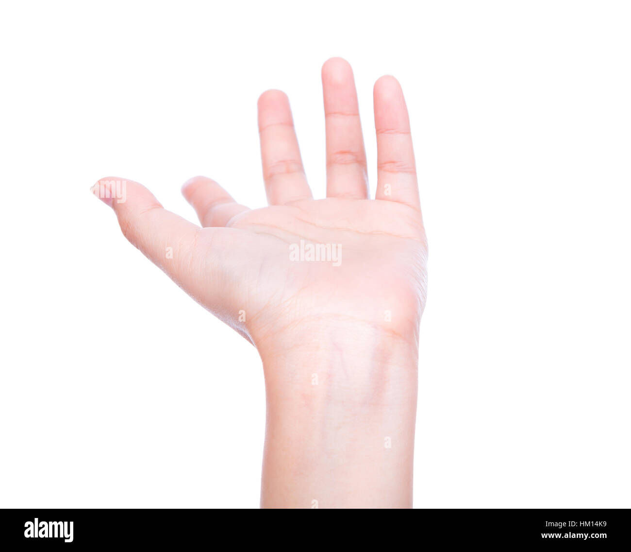 Beautiful woman hand holding isolated on white background Stock Photo ...