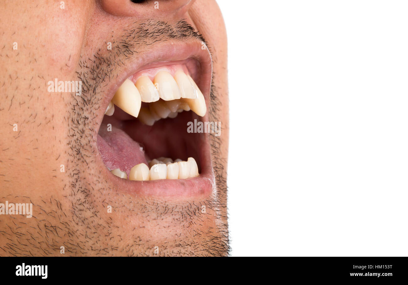 Halloween Vampire on white background Stock Photo - Alamy