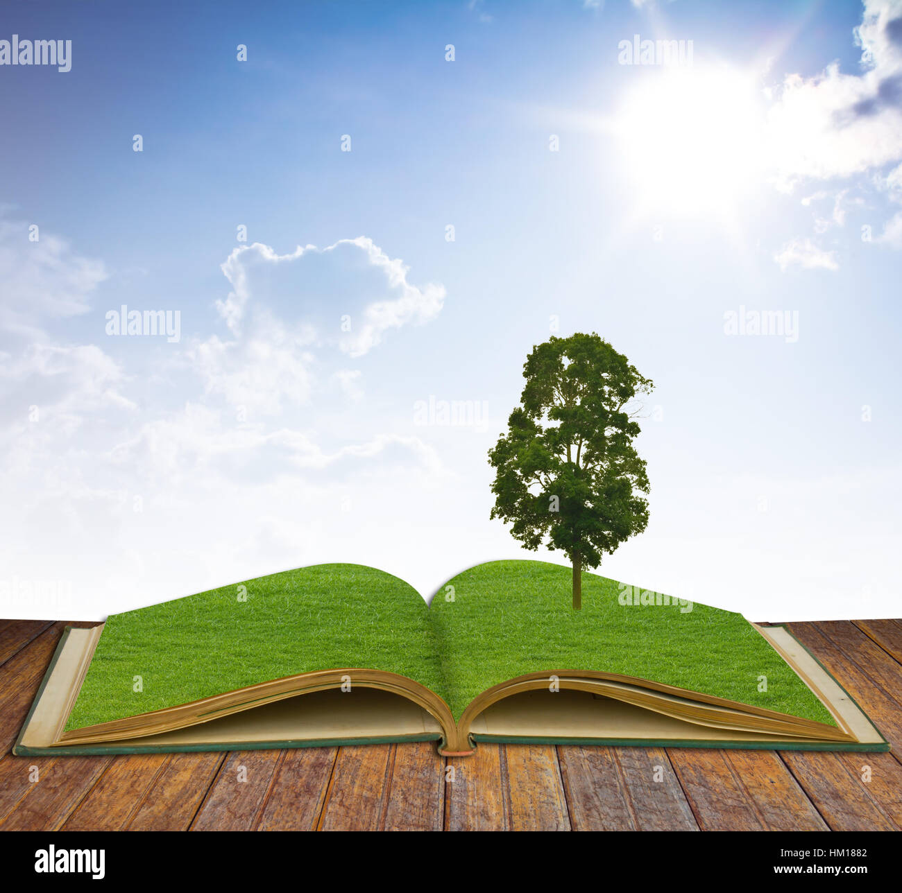 Tree growing from a book Stock Photo - Alamy