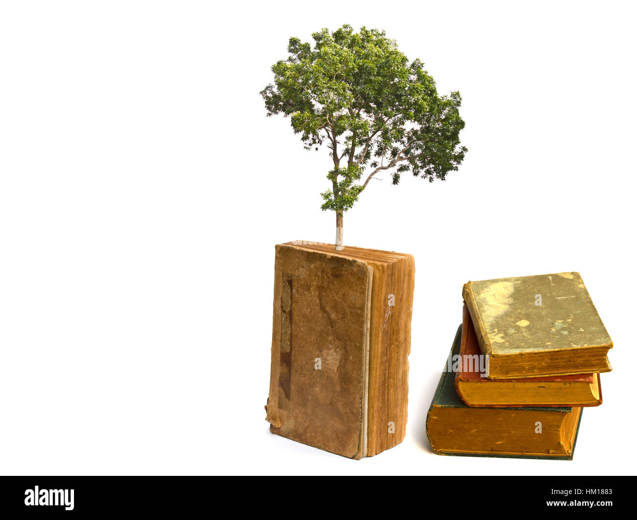 Magic book with a green tree hi-res stock photography and images - Alamy