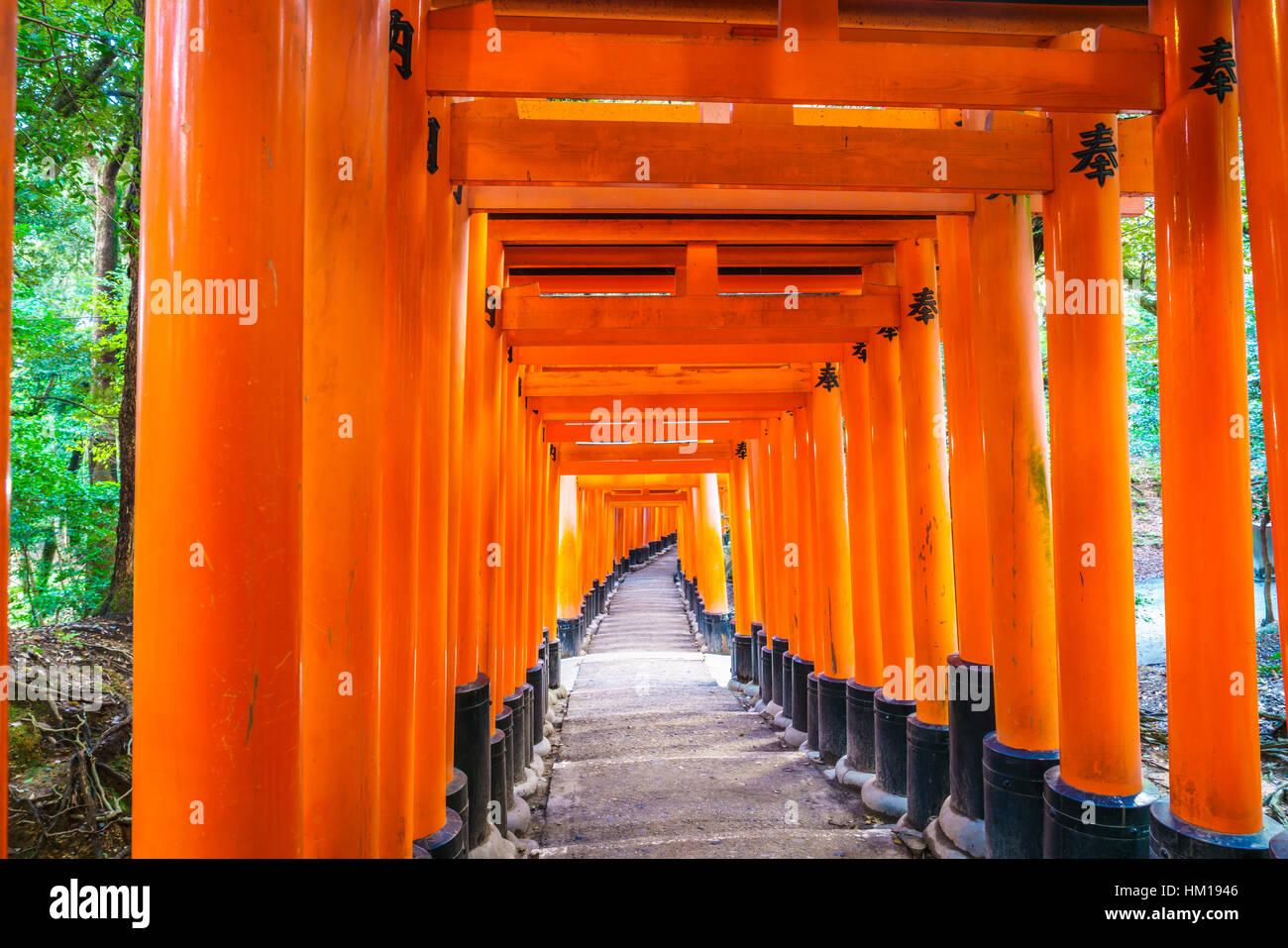 Red Tori Gate at Fushimi Inari Shrine Temple in Kyoto, Japan Stock ...