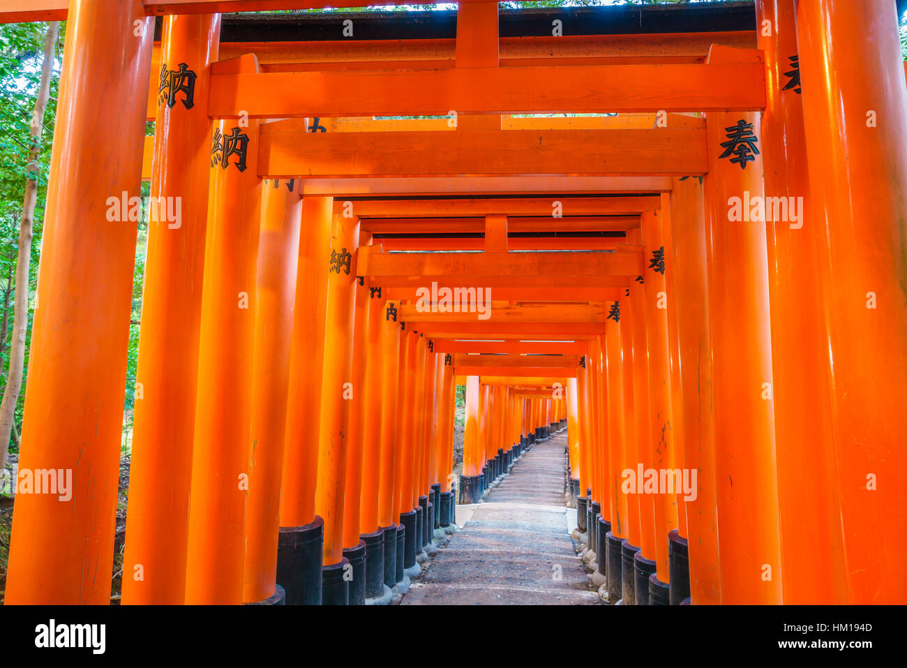 Fushimiinarishrine hi-res stock photography and images - Alamy