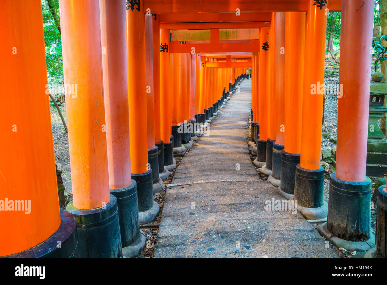 Red Tori Gate at Fushimi Inari Shrine Temple in Kyoto, Japan Stock ...