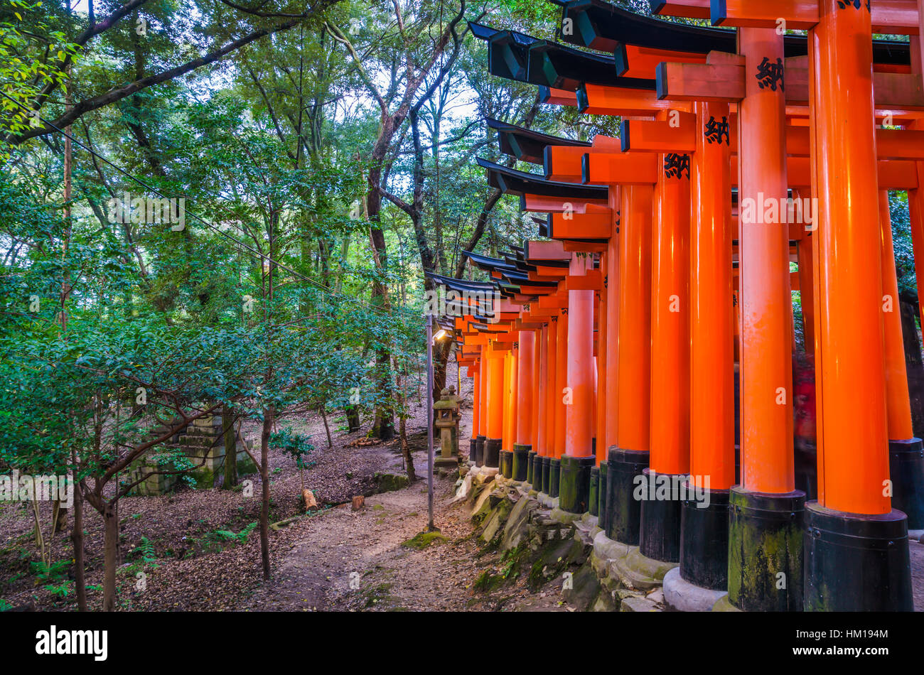 Red Tori Gate at Fushimi Inari Shrine Temple in Kyoto, Japan Stock ...