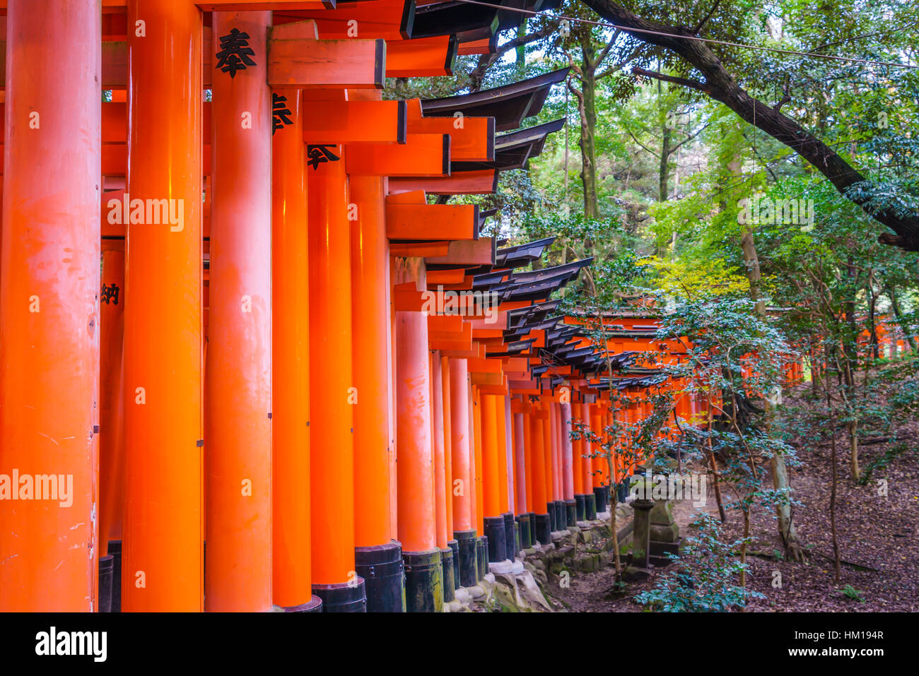 Fushimiinari shrine hi-res stock photography and images - Alamy