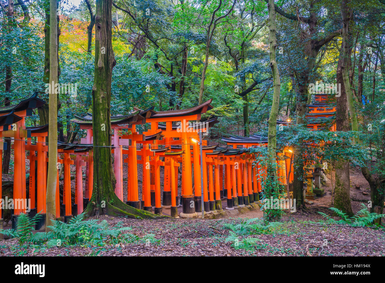Red Tori Gate at Fushimi Inari Shrine Temple in Kyoto, Japan Stock ...