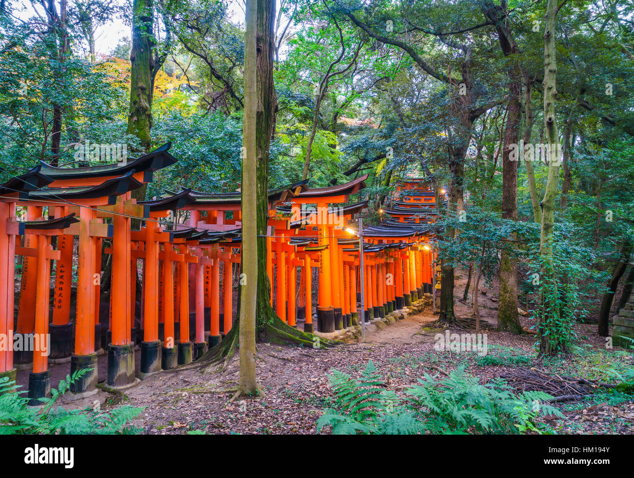 Red Tori Gate at Fushimi Inari Shrine Temple in Kyoto, Japan Stock ...