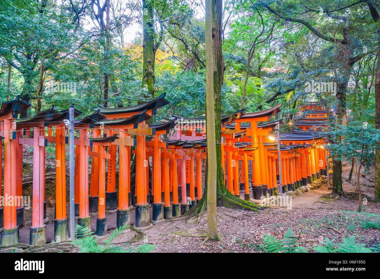 Red Tori Gate at Fushimi Inari Shrine Temple in Kyoto, Japan Stock ...
