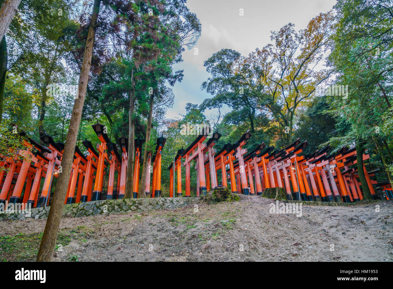 Red Tori Gate at Fushimi Inari Shrine Temple in Kyoto, Japan Stock ...