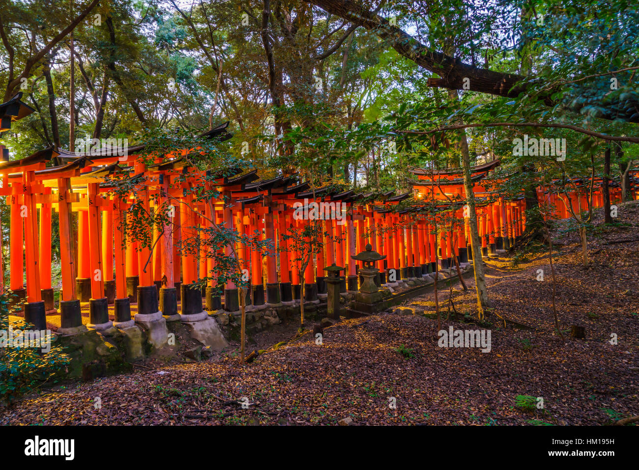 Red Tori Gate at Fushimi Inari Shrine Temple in Kyoto, Japan Stock ...