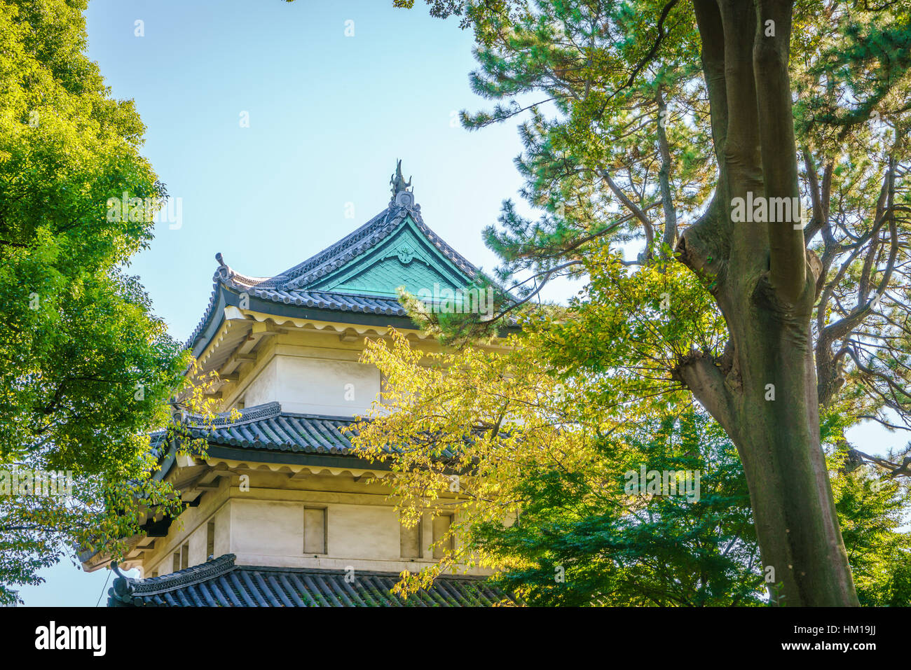 Beautiful Imperial Palace in Tokyo, japan Stock Photo - Alamy