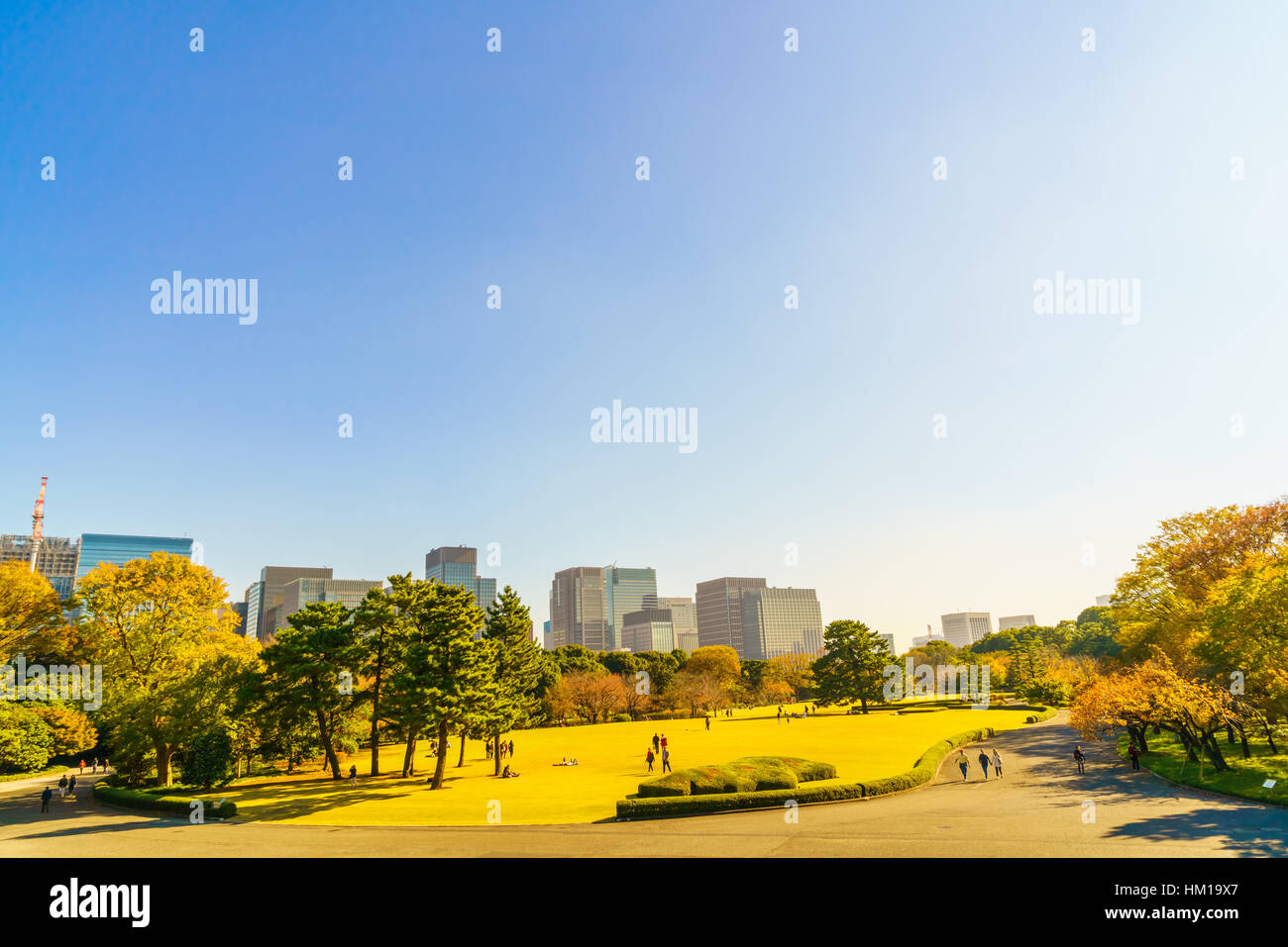 Tokyo, Japan cityscape Stock Photo - Alamy