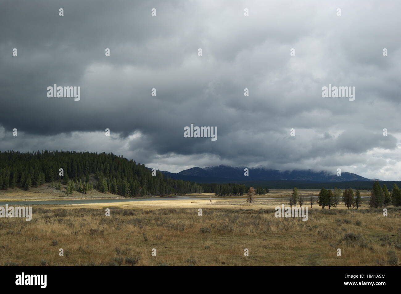 Plan field hi-res stock photography and images - Alamy