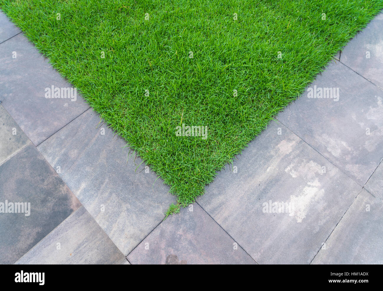 The Walk path in the park with green grass Stock Photo - Alamy