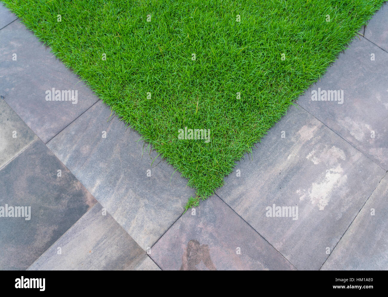 The Walk path in the park with green grass Stock Photo - Alamy