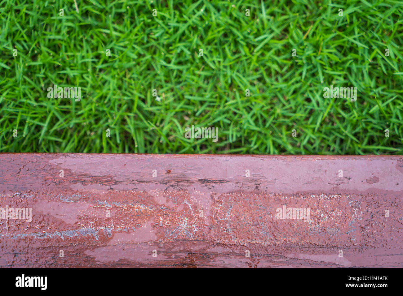 The Walk path in the park with green grass Stock Photo - Alamy