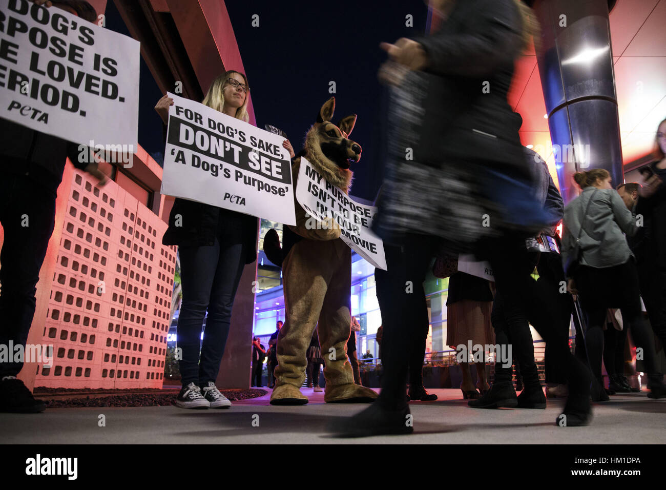 Hollywood, CA, USA. 27th Jan, 2017. People hold signs during a PETA ...