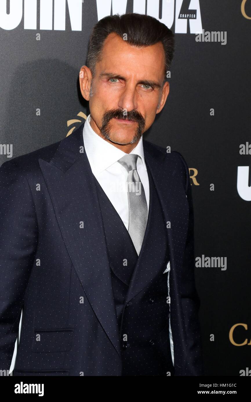 Los Angeles, CA, USA. 30th Jan, 2017. Wass Stevens at arrivals for JOHN ...