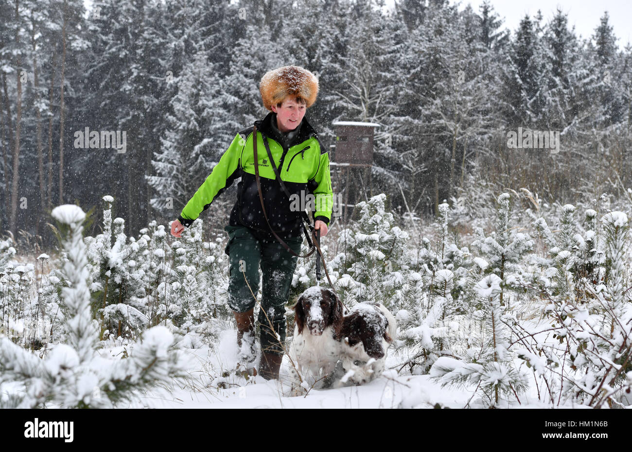 Gera, Germany. 16th Jan, 2017. Forest ranger Sabine Schleicher trudges ...