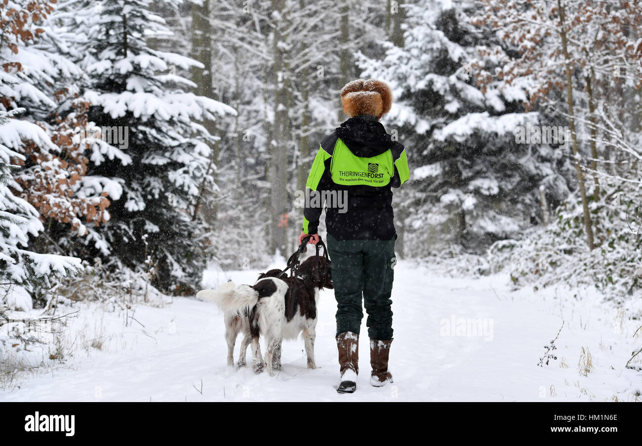 Gera, Germany. 16th Jan, 2017. Forest ranger Sabine Schleicher trudges ...