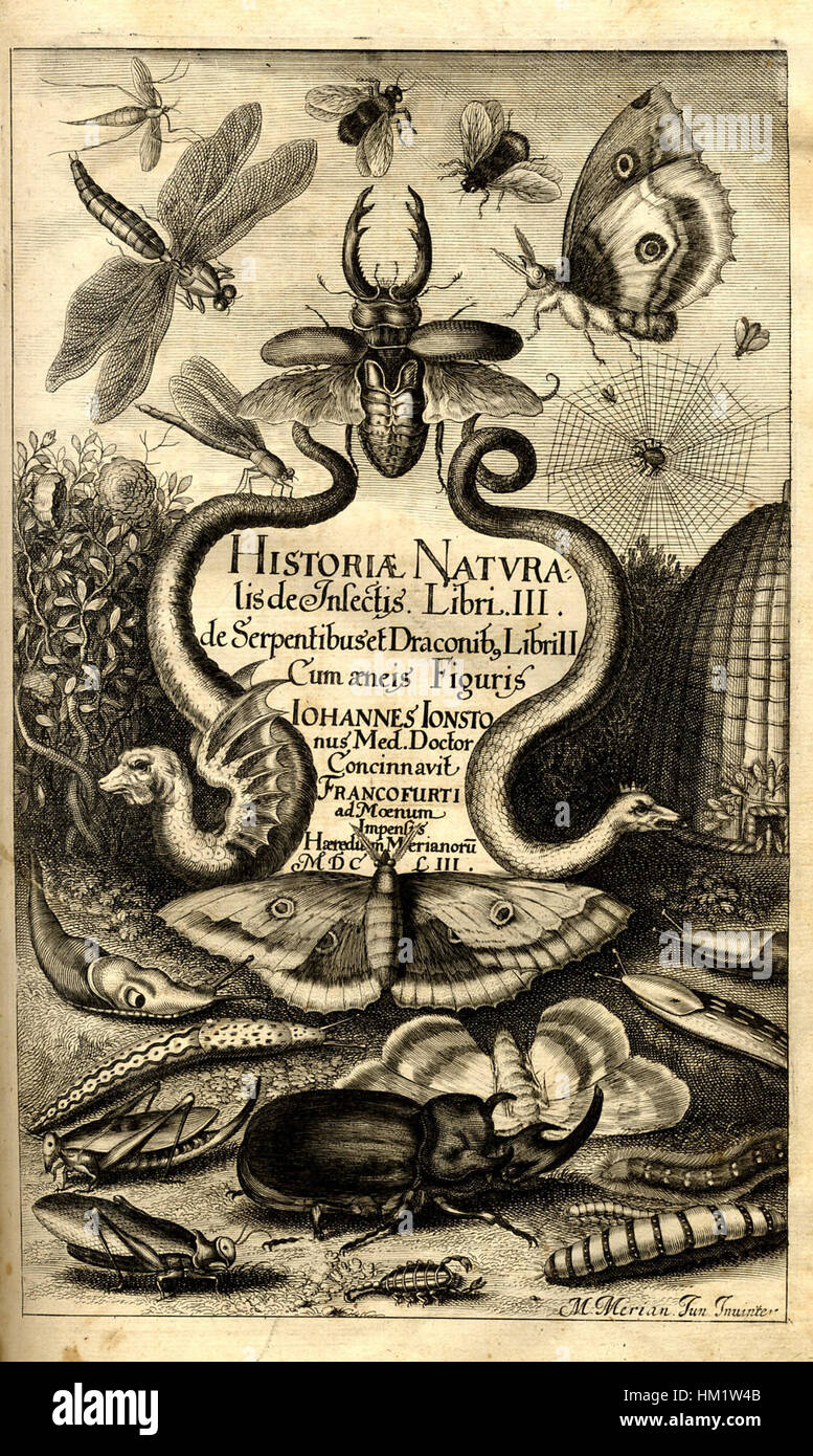 This title page from John Johnstonâ€™s work 'De Insectis' features ...