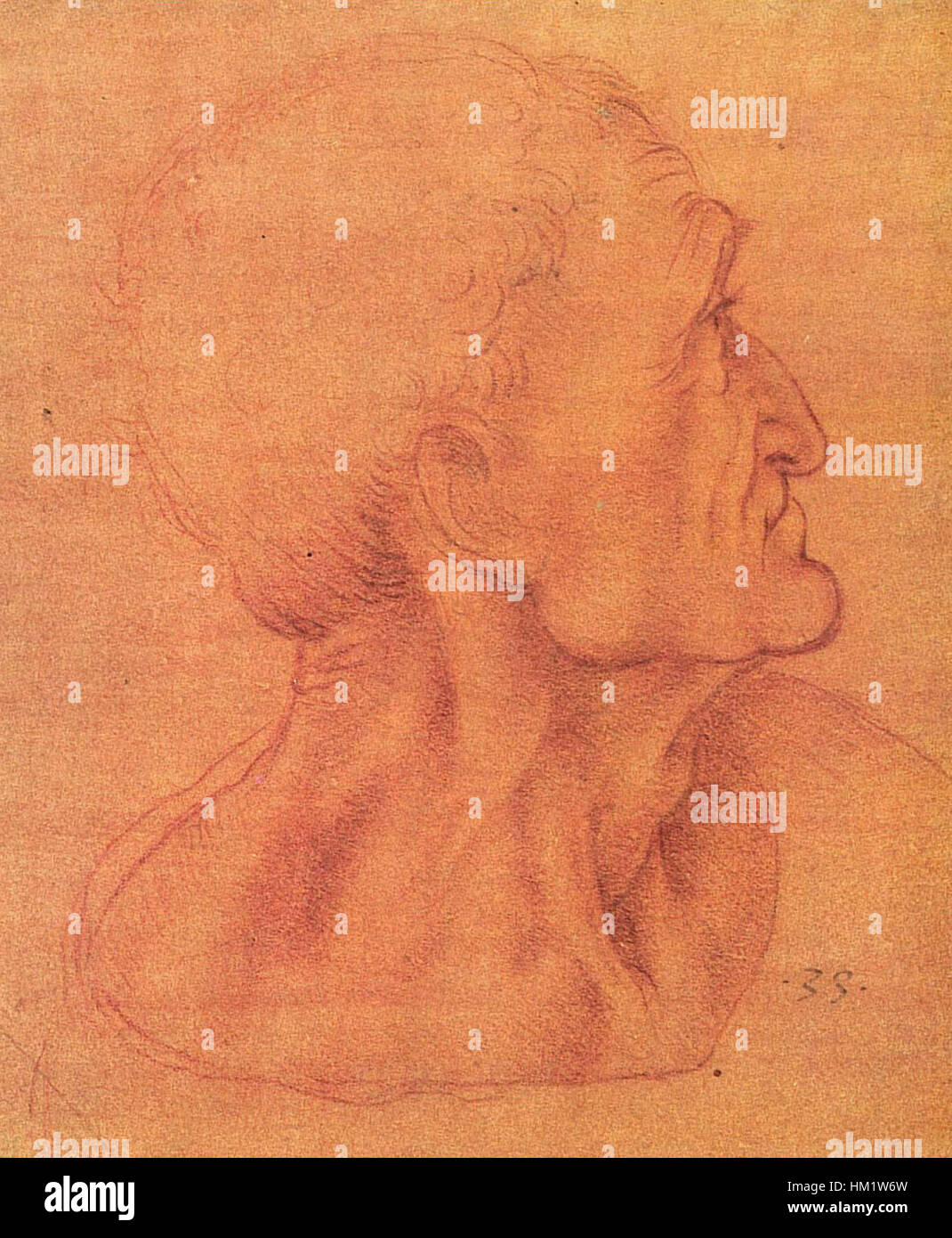 This artwork, attributed to Leonardo da Vinci, is a study of the head ...