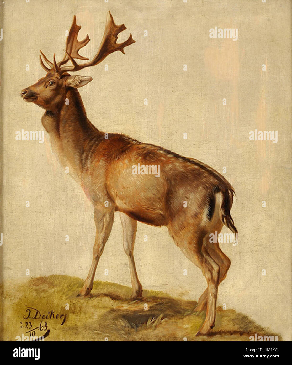 This painting by Johannes Christian Deiker, titled 'Damhirsch 01 ...