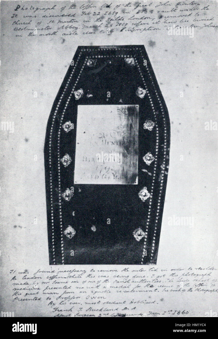 This 1859 painting by John Hunter depicts a coffin, focusing on the ...