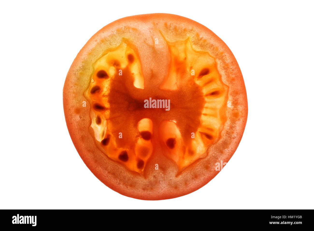 Cross section of a tomato, backlit Stock Photo - Alamy