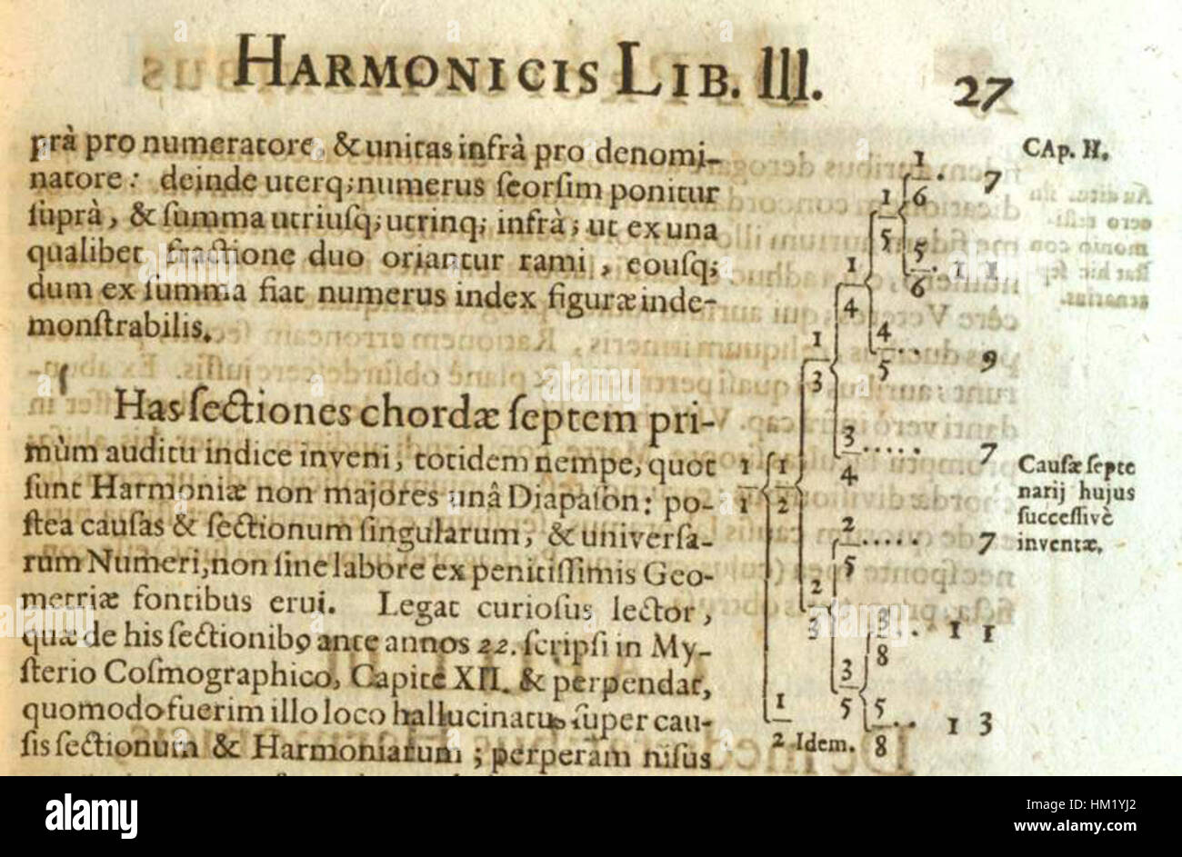 'Kepler Tree' is an original artwork inspired by the famous astronomer ...