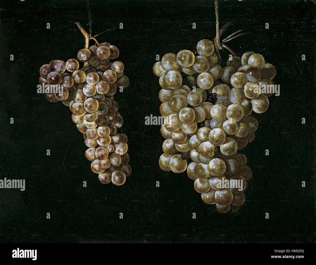 Racimos hi-res stock photography and images - Alamy