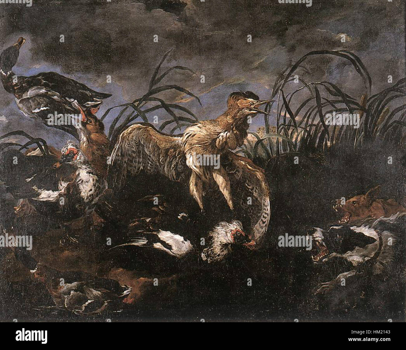 Joannes Fijt - Bittern and Ducks Startled by Dogs - WGA08346 Stock ...