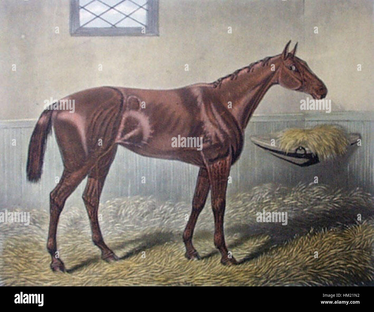 This artwork, titled *Hannah*, depicts a horse in a classic oil ...