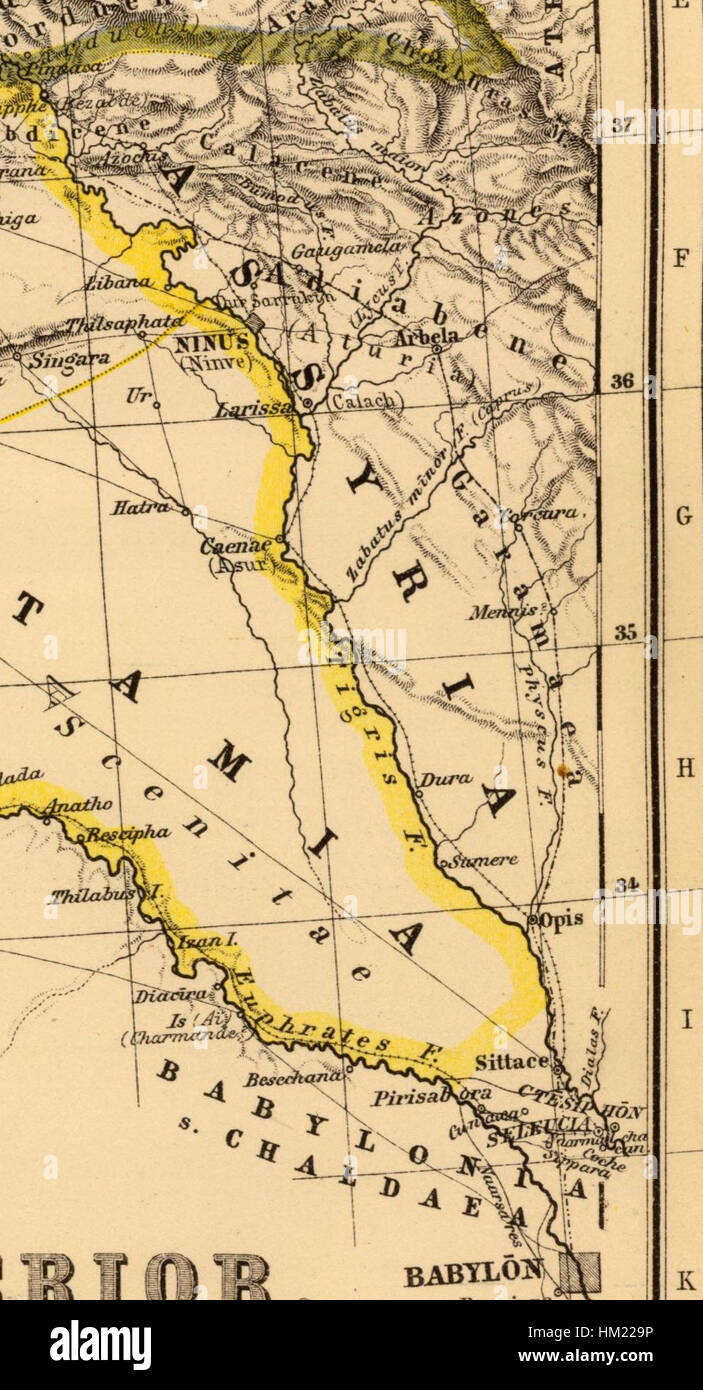 Citerior hi-res stock photography and images - Alamy