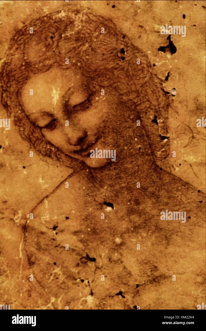 Leda leonardo da vinci hi-res stock photography and images - Alamy