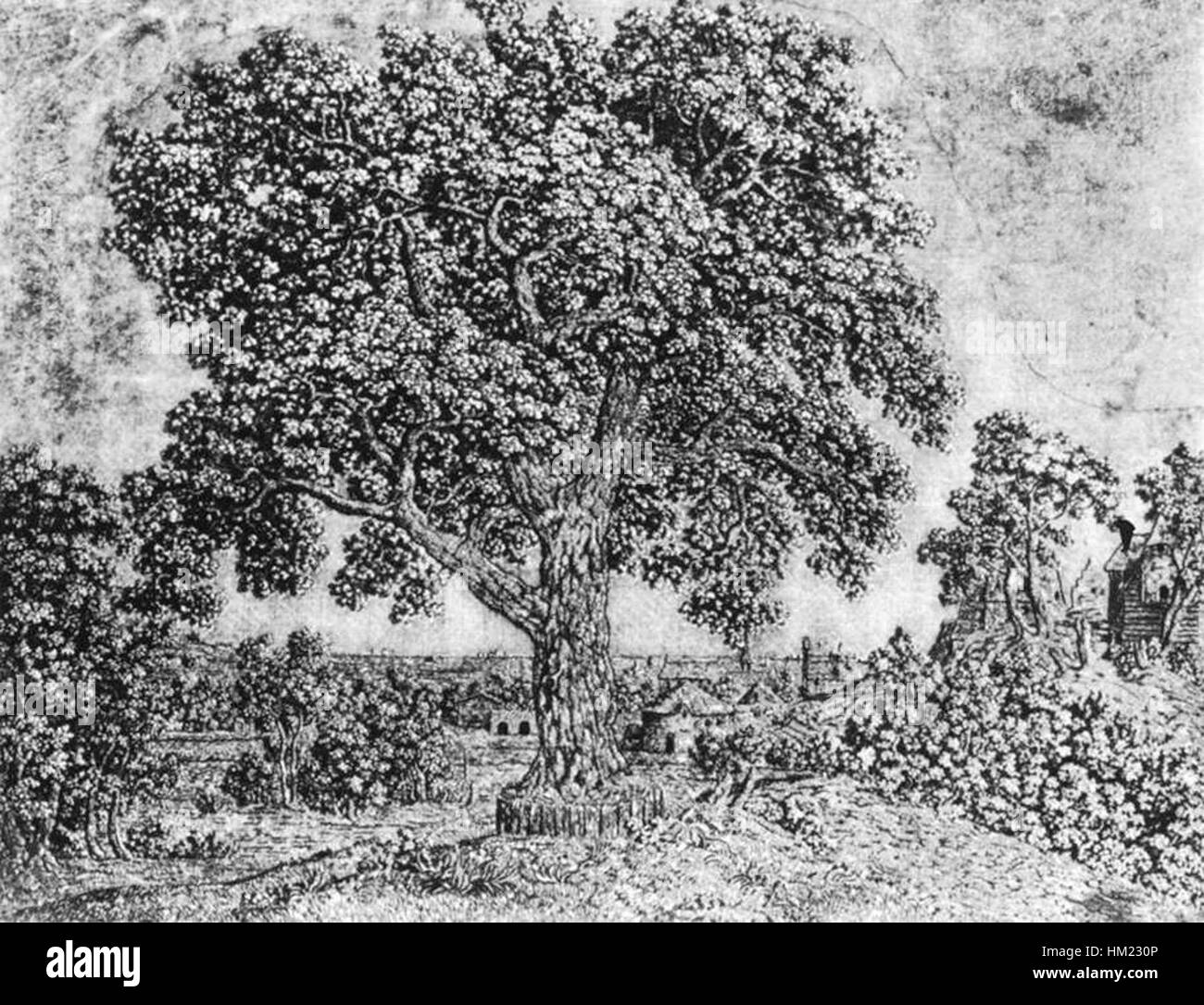 Hercules Seghers' painting 'The Great Tree' showcases a stunning ...