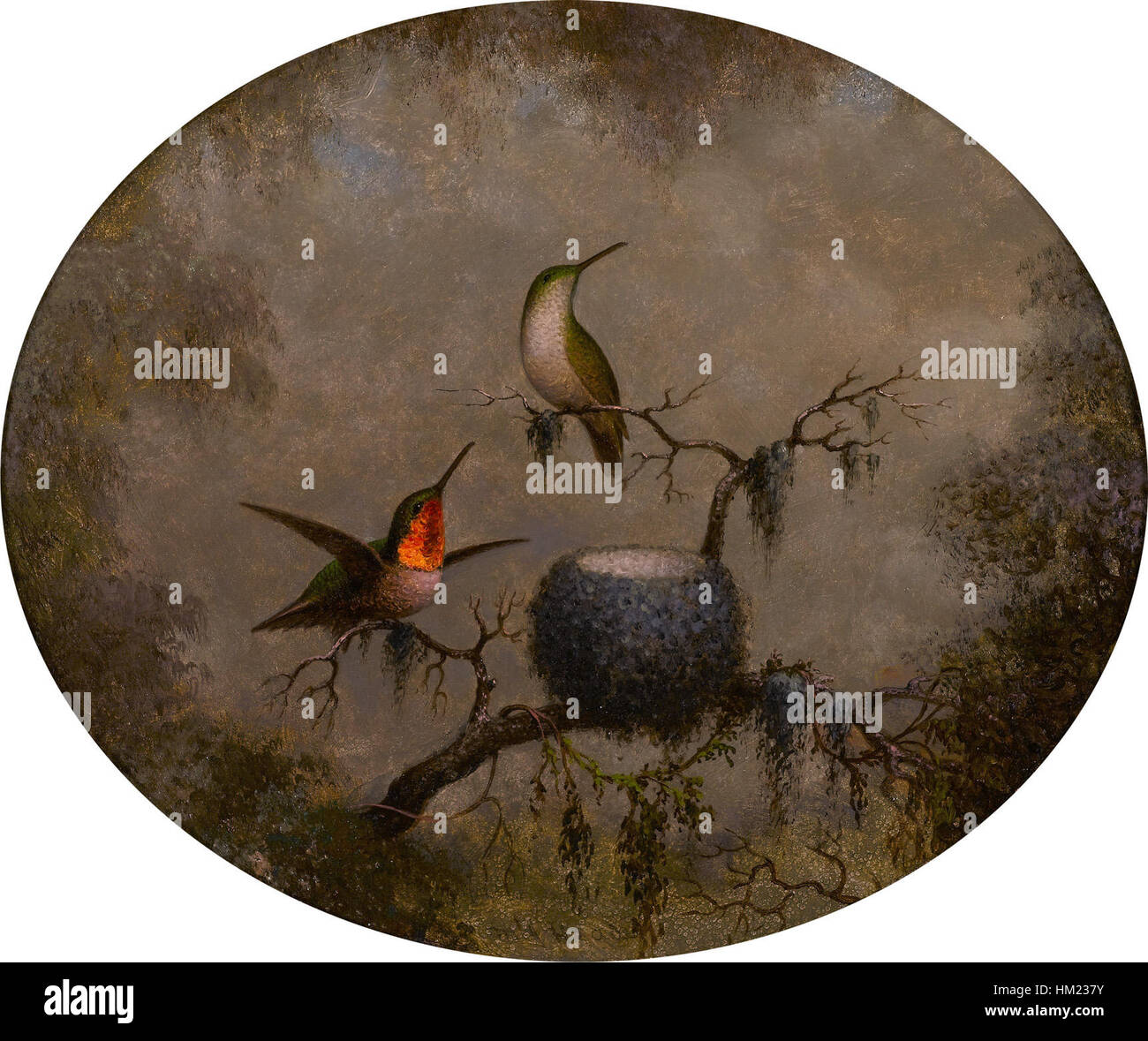 A painting by Martin Johnson Heade from 1863, depicting hummingbirds in ...