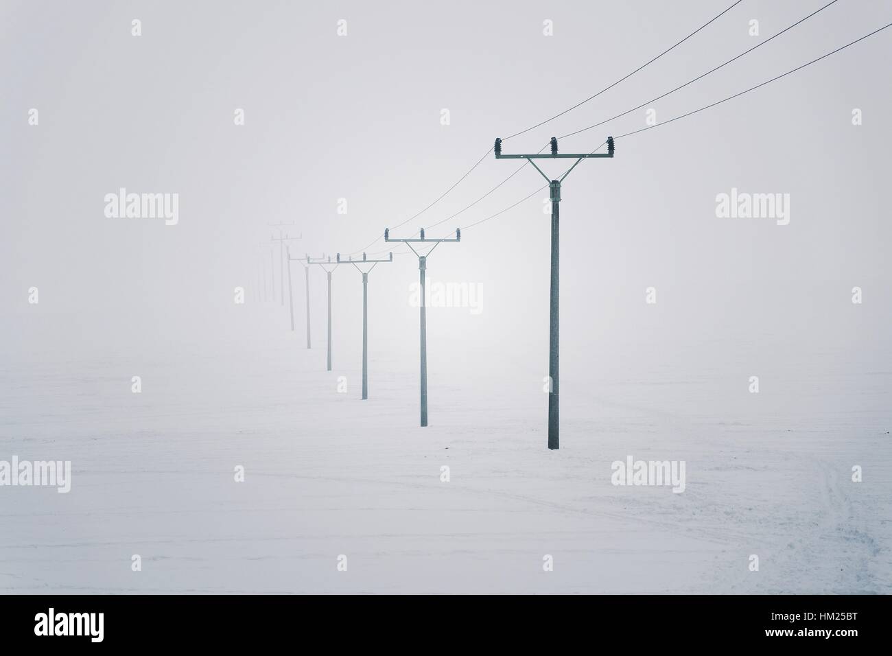 Electricity pylons from distribution power station in foggy winter ...