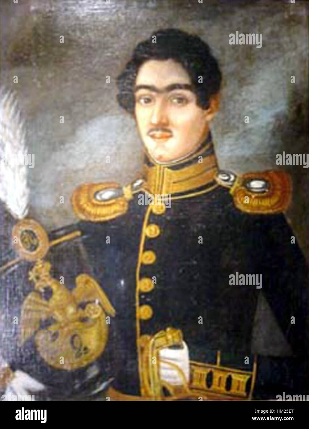 'Parucicul Grigore Serurie' by Ion Negulici is a painting representing ...