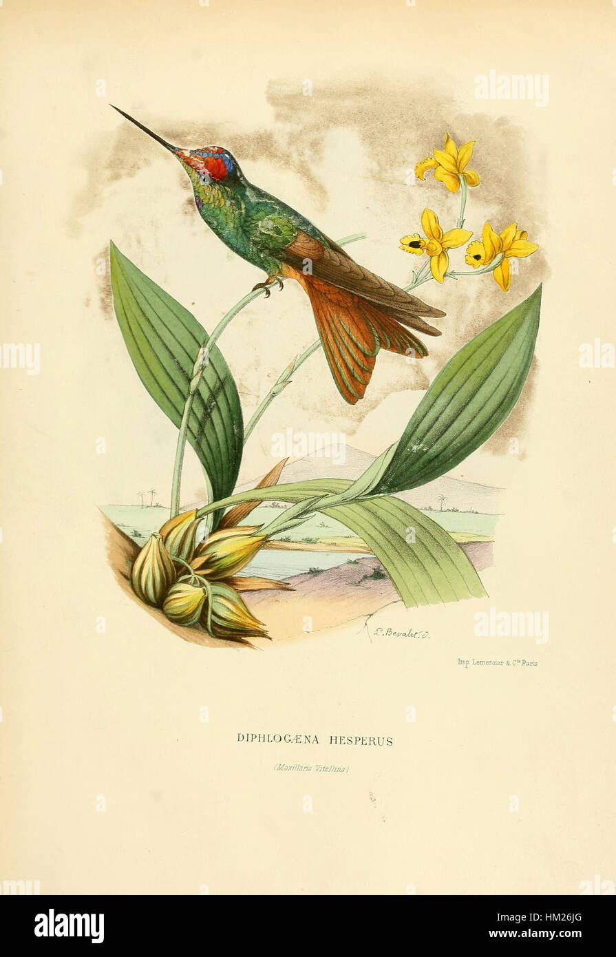 19th century european fine art hi-res stock photography and images - Alamy