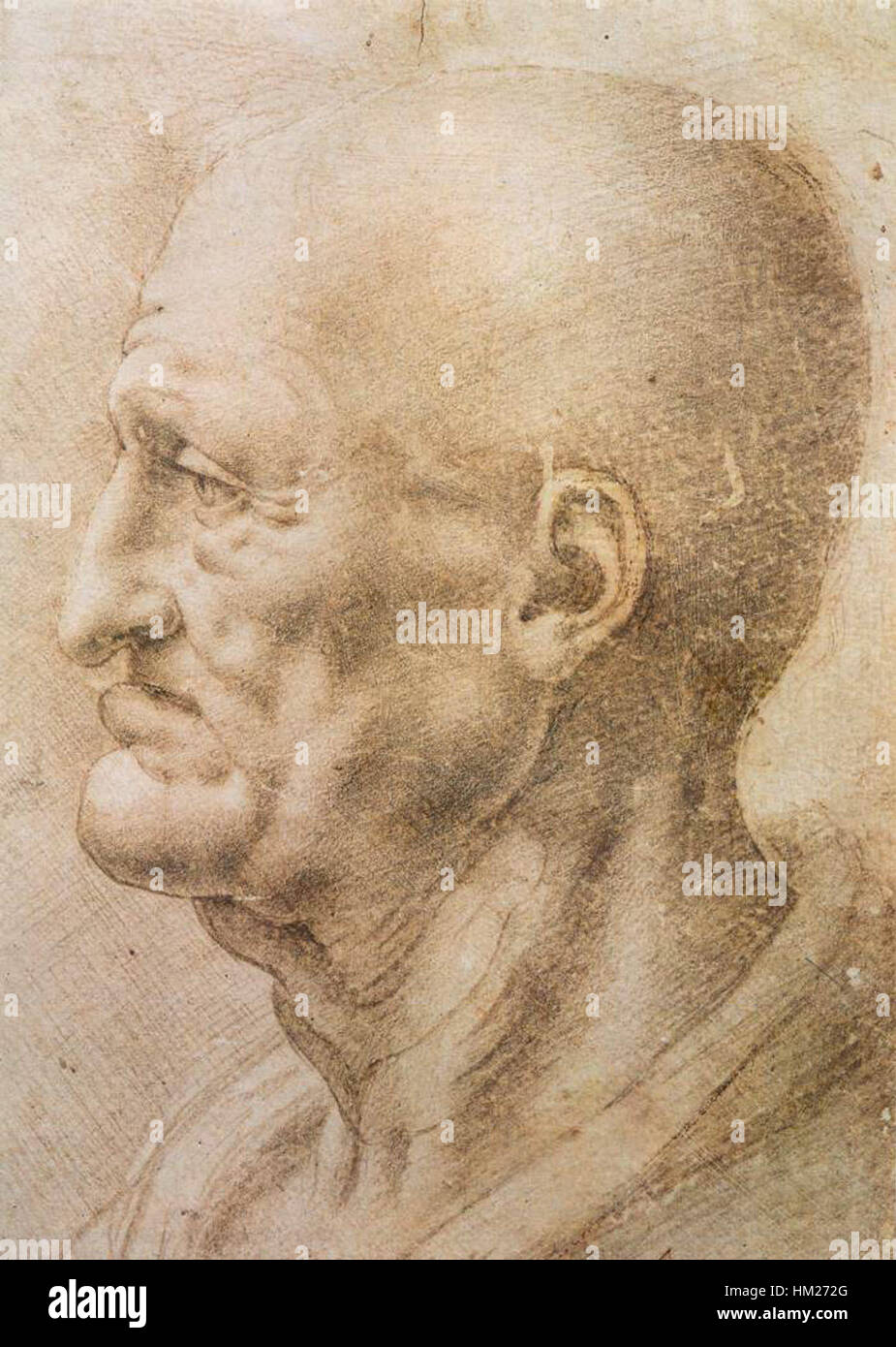 This drawing by Leonardo da Vinci, titled 'Profile of an Old Man ...