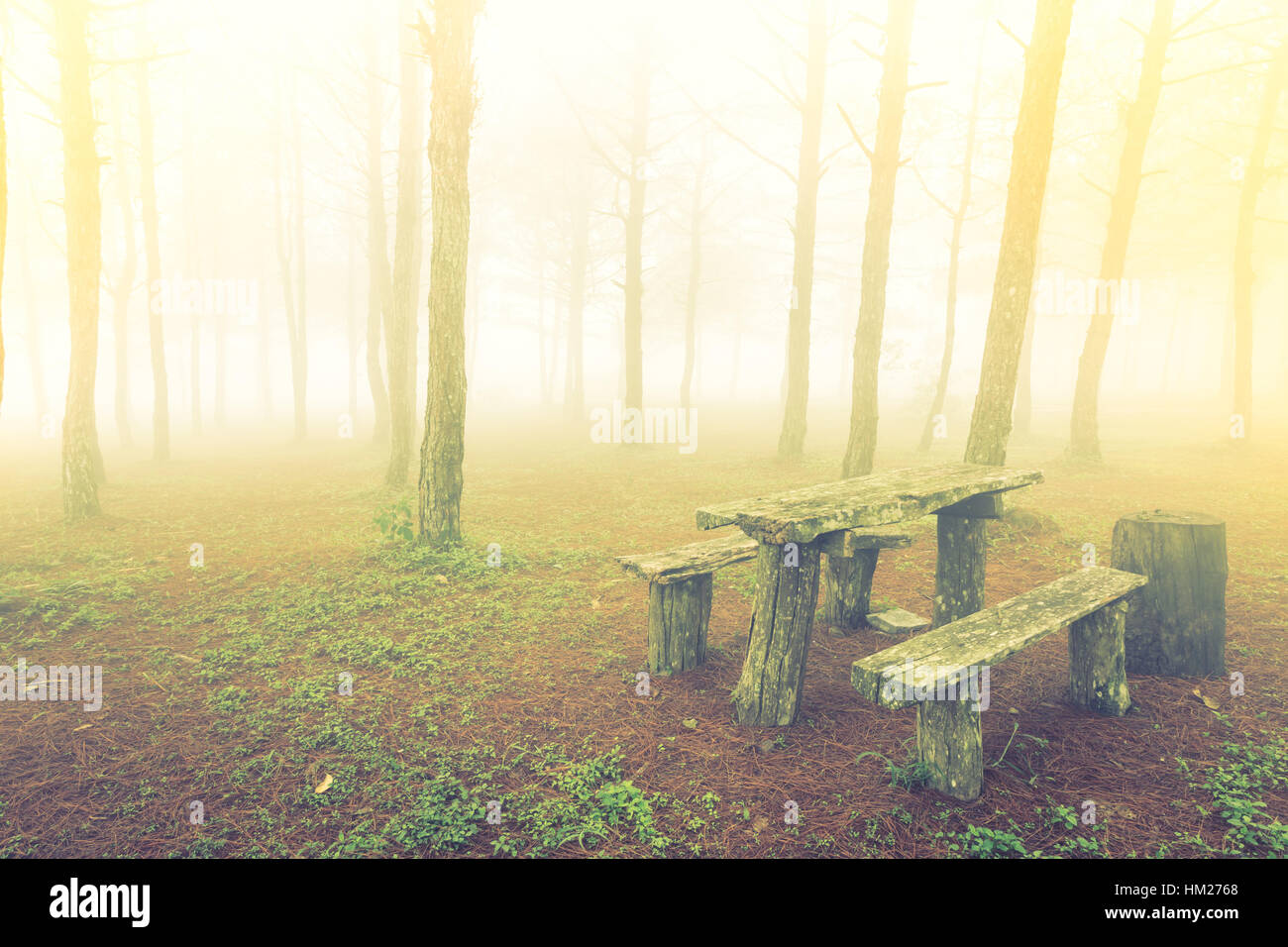 Wood table in forest tree during a foggy day ( Filtered image processed ...