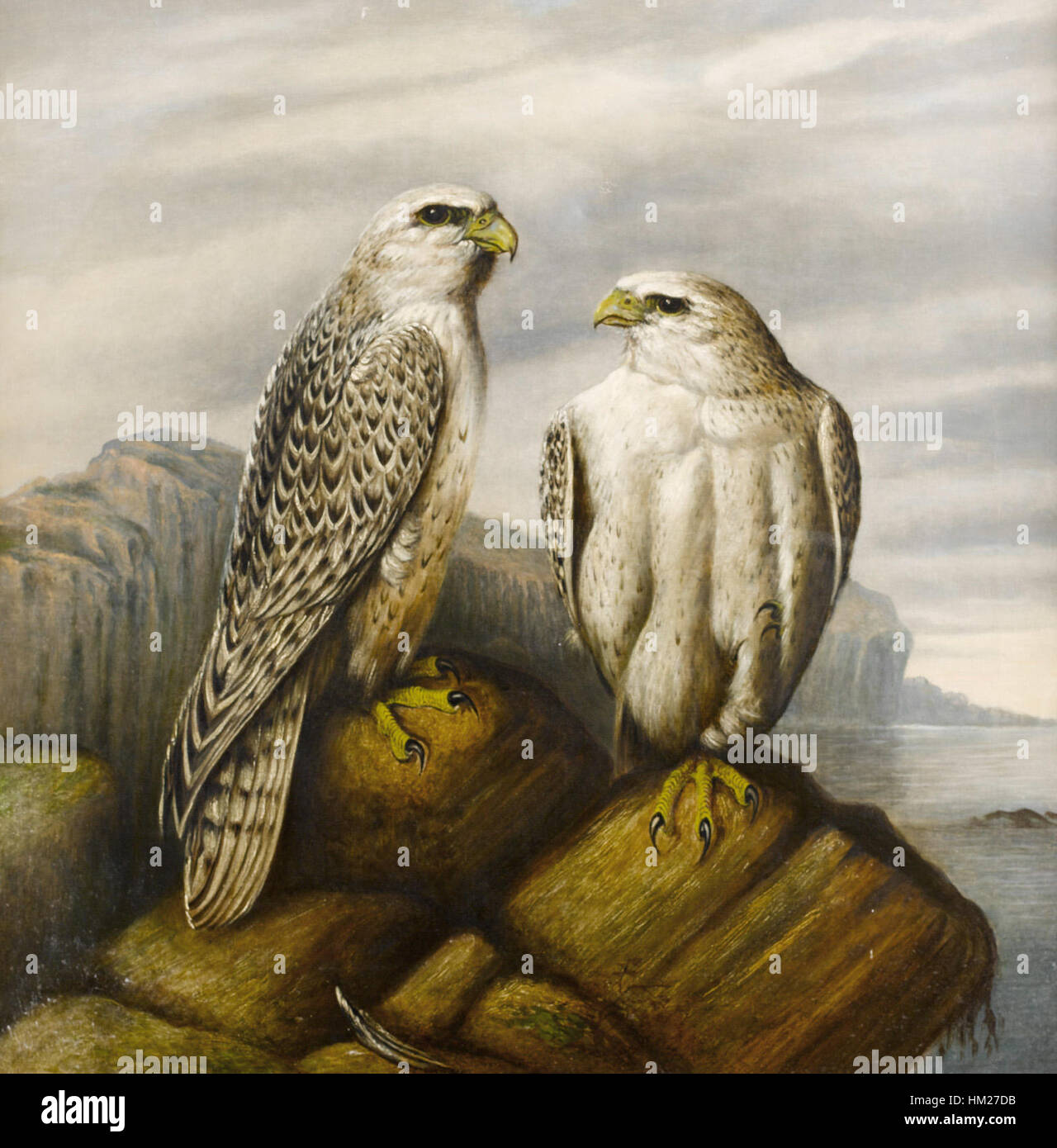 Josef wolf hi-res stock photography and images - Alamy