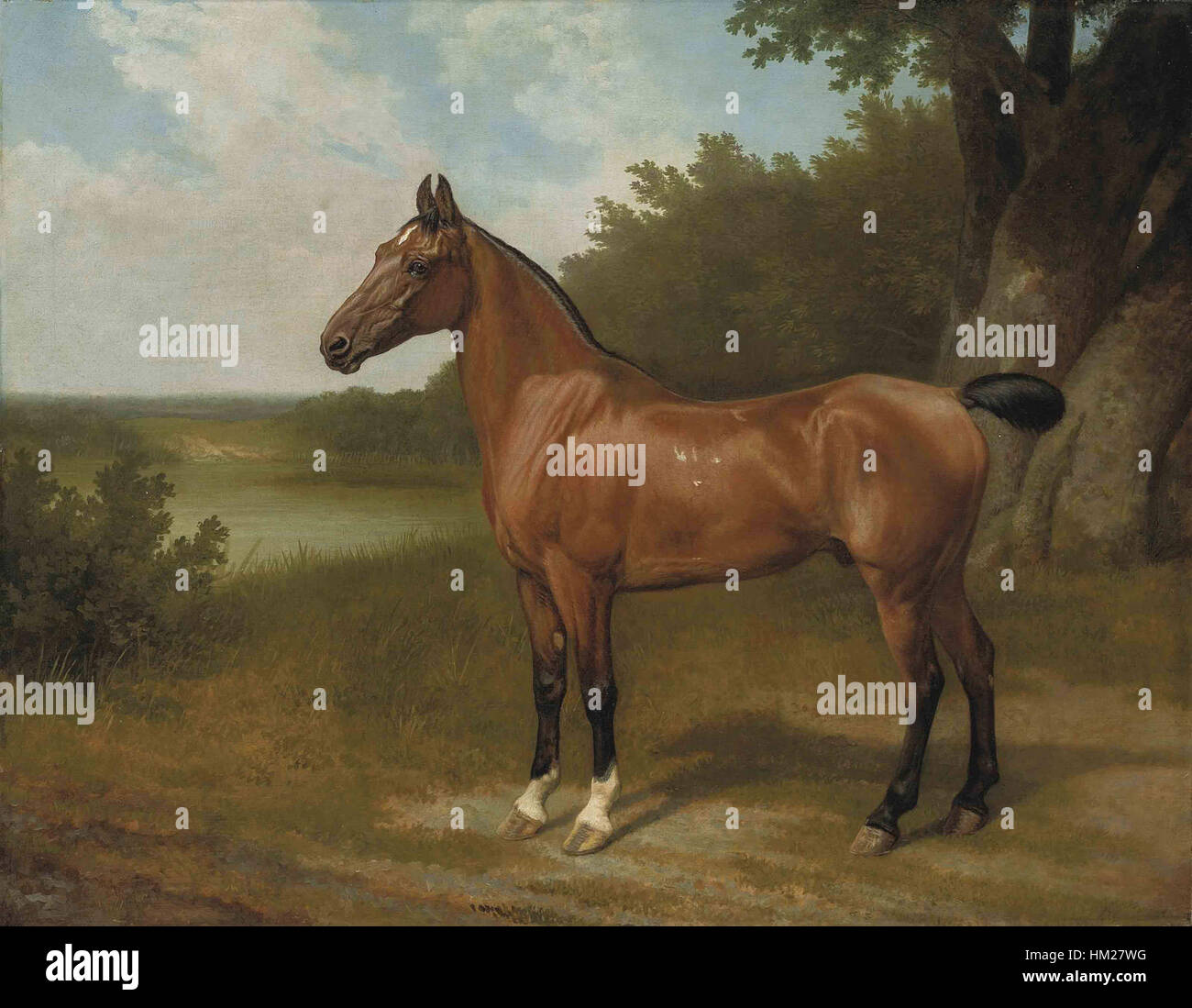 Bingleys hi-res stock photography and images - Alamy