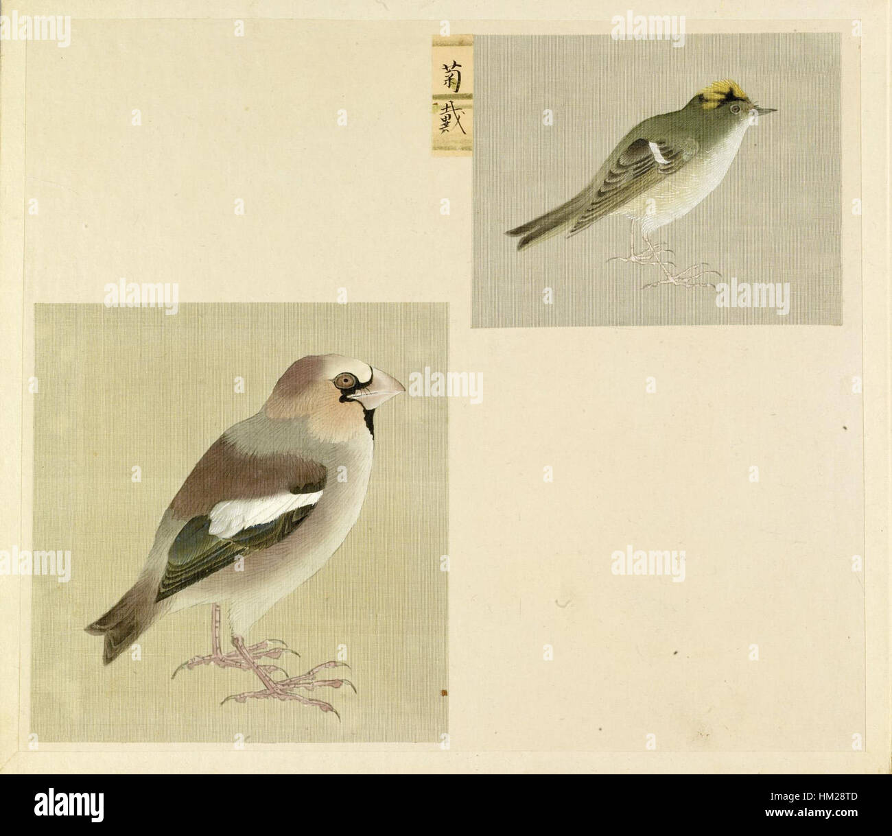 This Japanese album leaf depicts small birds, reflecting the country's ...