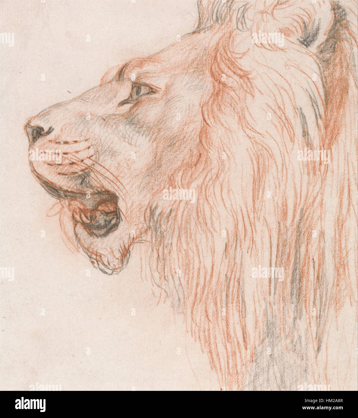 The 'Head of a Lion' is a detailed sculpture showcasing the animal’s ...