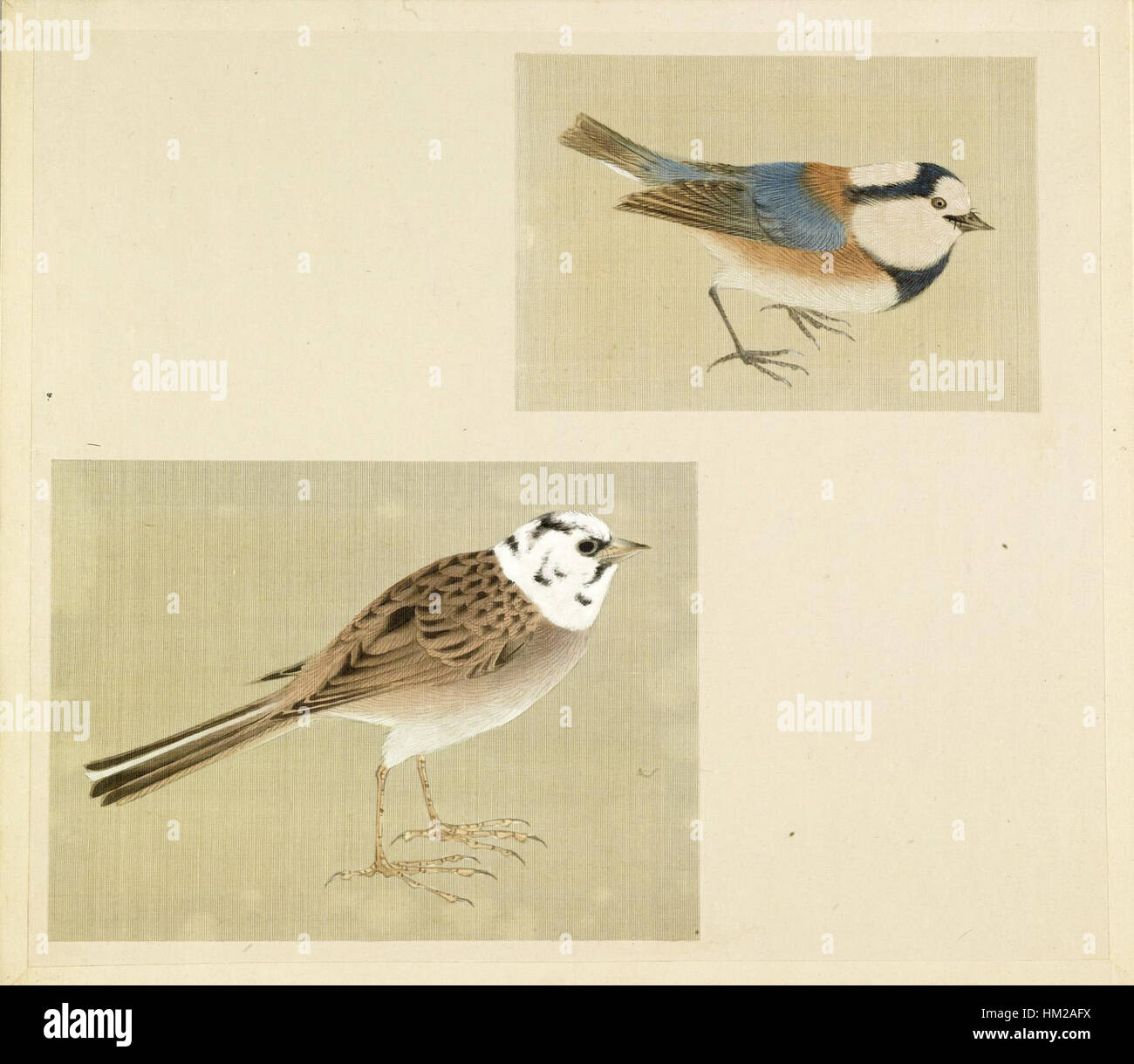 This artwork from a Japanese album, depicting small birds, showcases ...