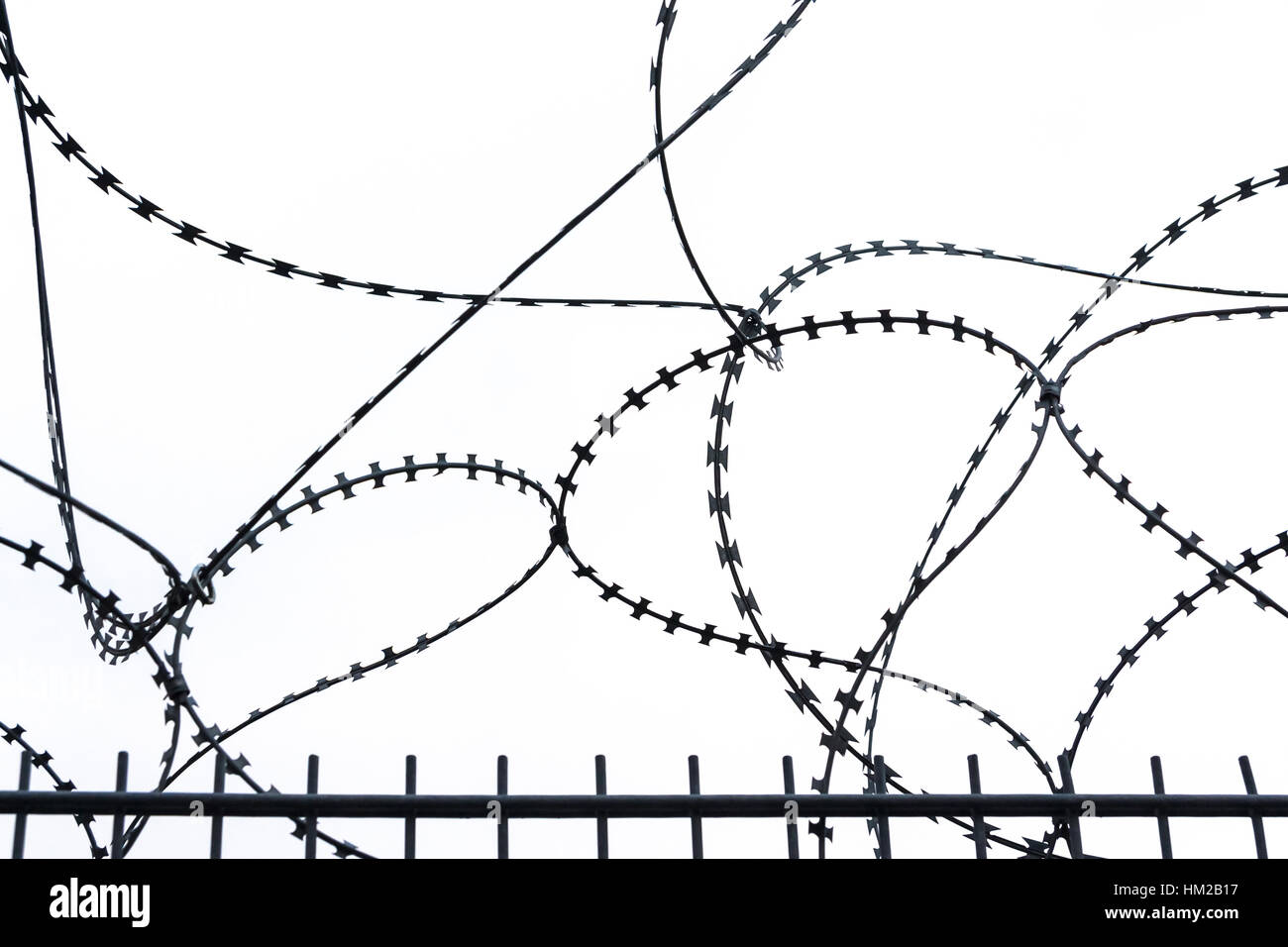 Silhouette of Razor Wire with White Background Stock Photo - Alamy