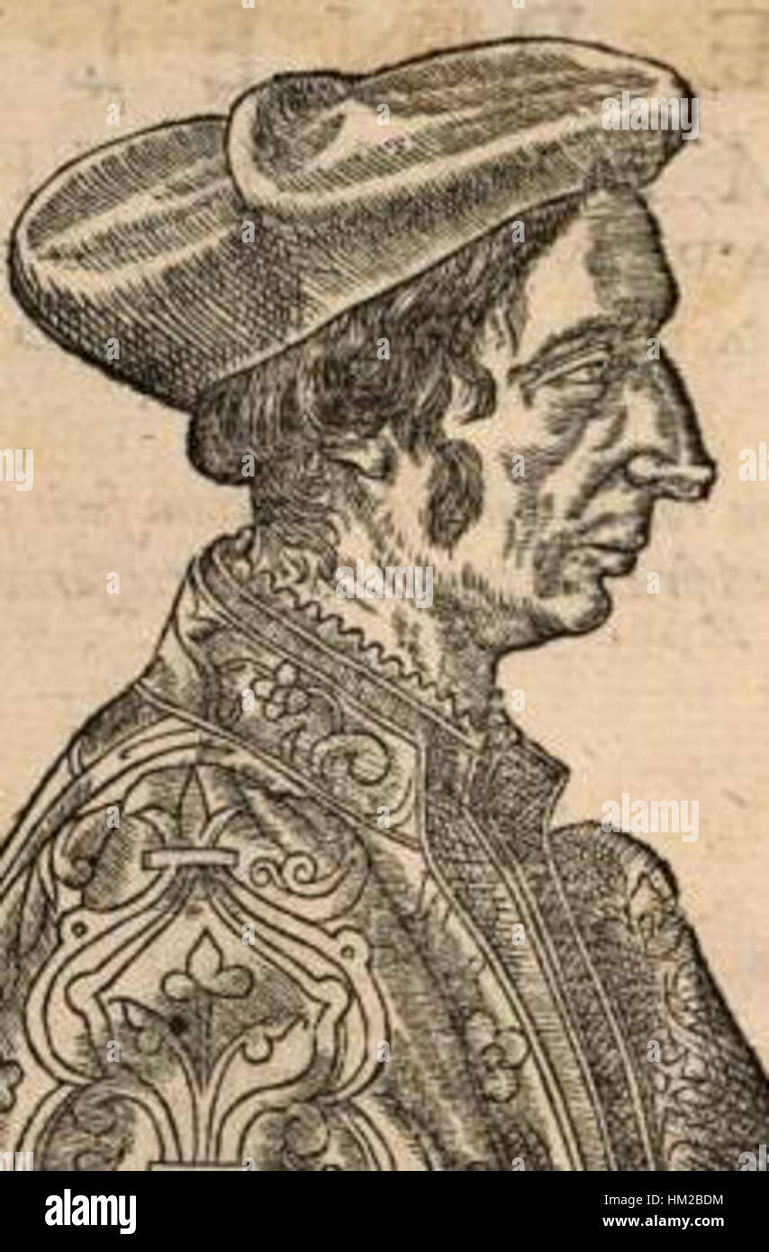 Jean Fernel was a French physician and scholar, widely regarded as one ...